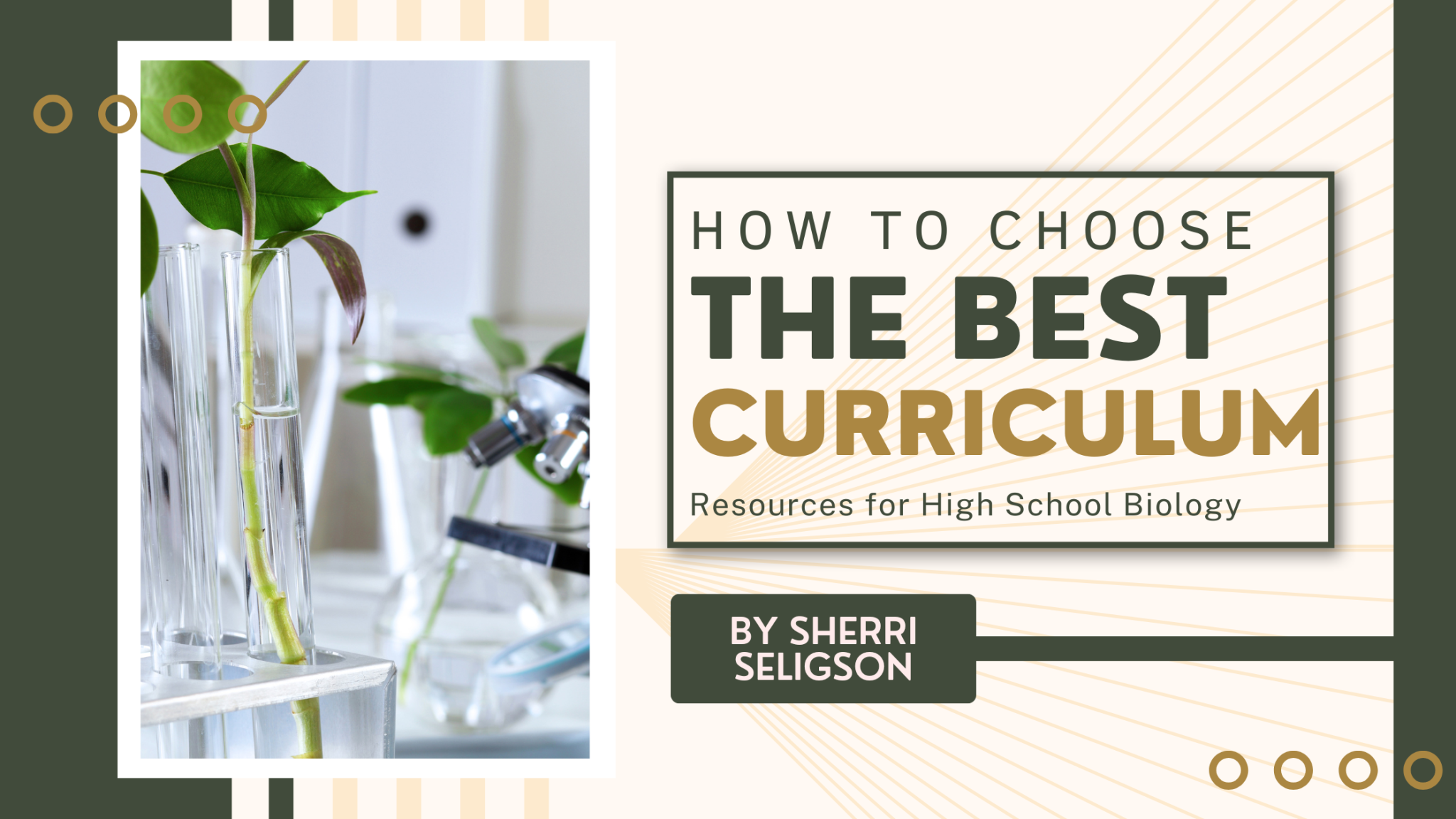 How to Choose the Best Curriculum Resources for High School Biology ...