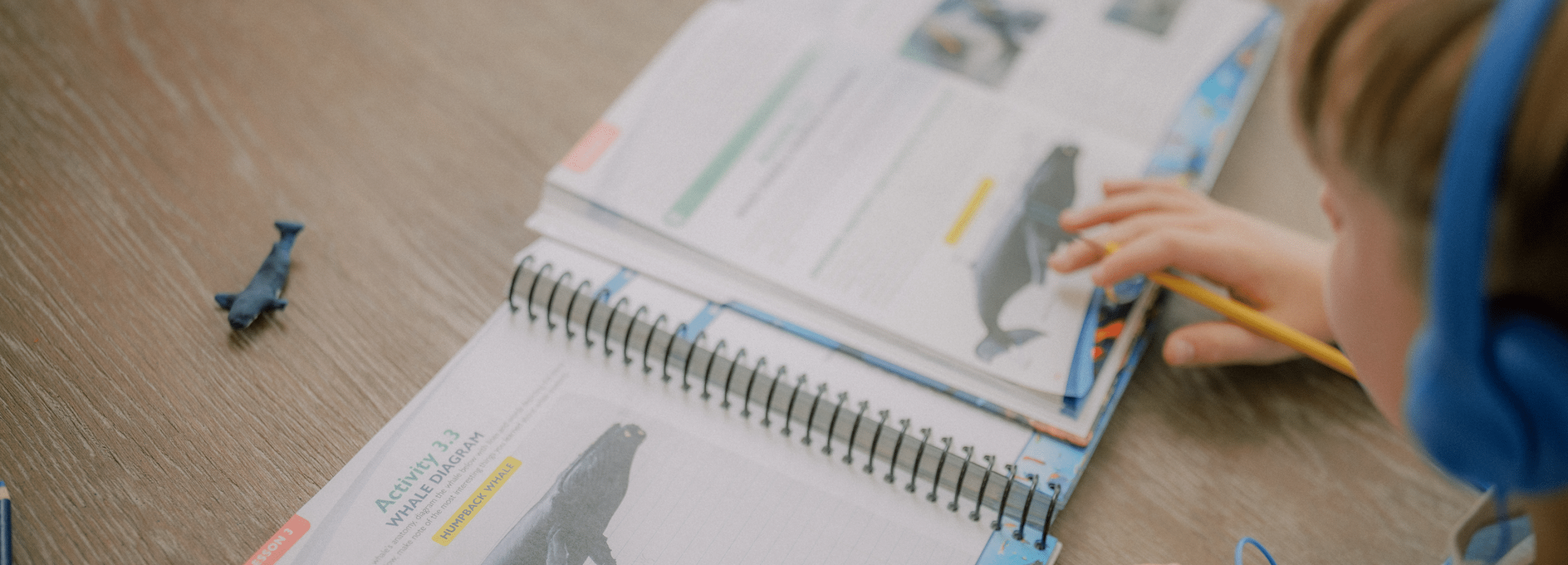 Christian Homeschool Curriculum for K-12 from Apologia