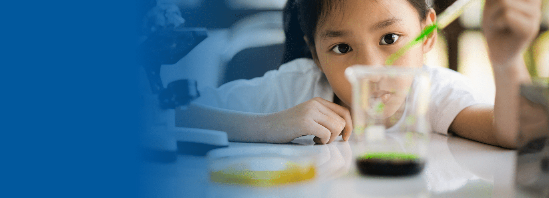 Christian Homeschool Curriculum for K-12 from Apologia