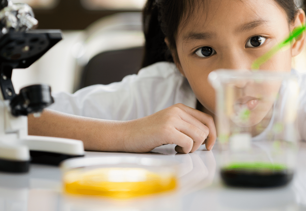 Christian Homeschool Curriculum for K-12 from Apologia