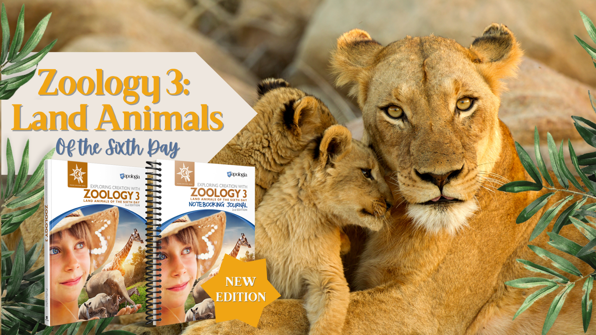 Introducing Exploring Creation with Land Animals of the Sixth Day