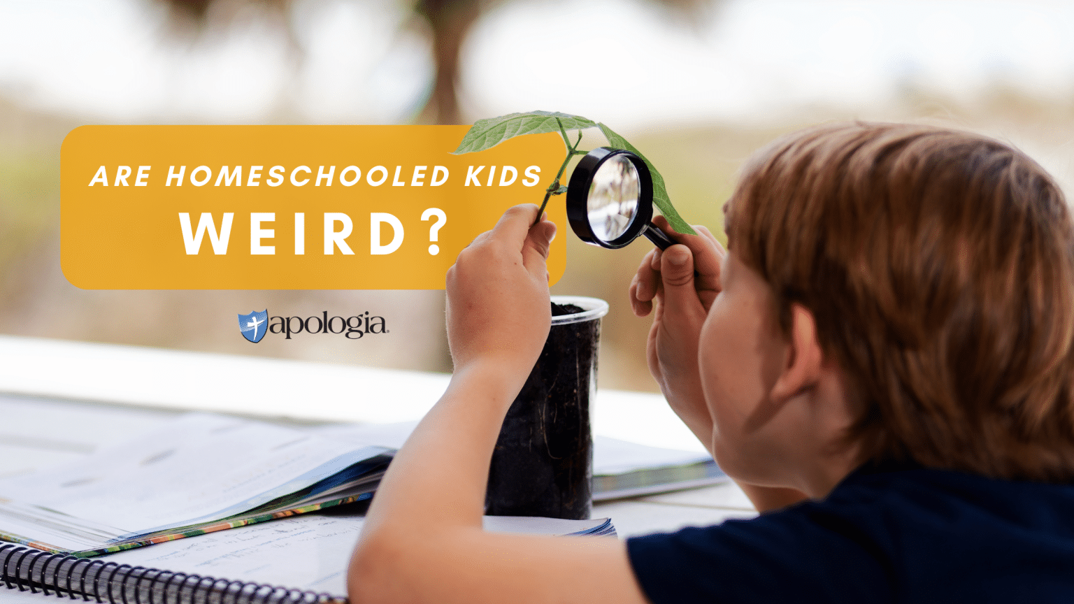 Are Homeschooled Kids Weird? - Apologia